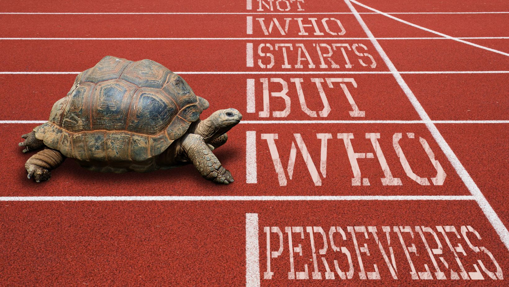 Inspirational Sports Quotes for Students: Unlock Your Potential and ...